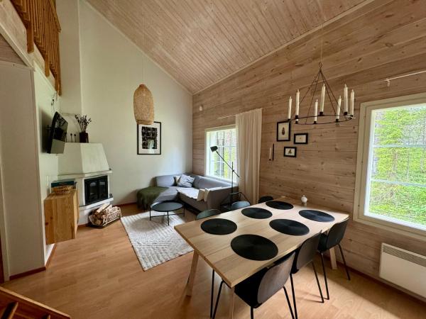 Usva Cabins Levi - Niestapirtti B - Lapland