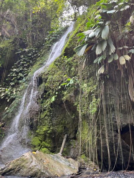 Hostel No Glam Boutique - La Vega