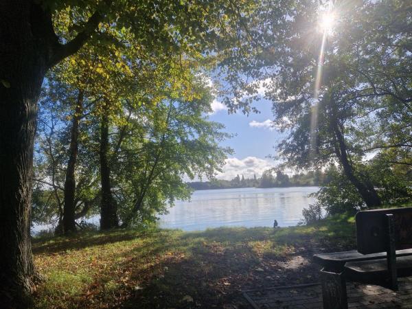 Ferienwohnung-claudia In Schwerin - Schwerin