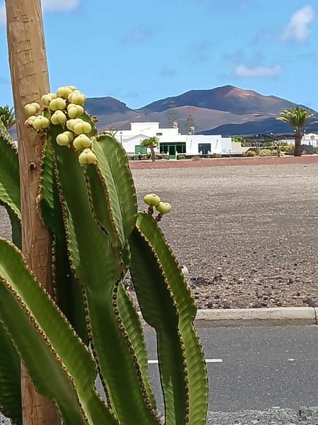 Casa Los Volcanes - Lanzarote