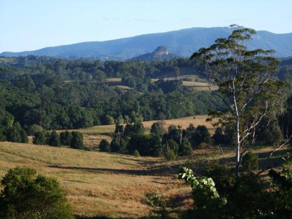 Grey Gum Lodge - Nimbin