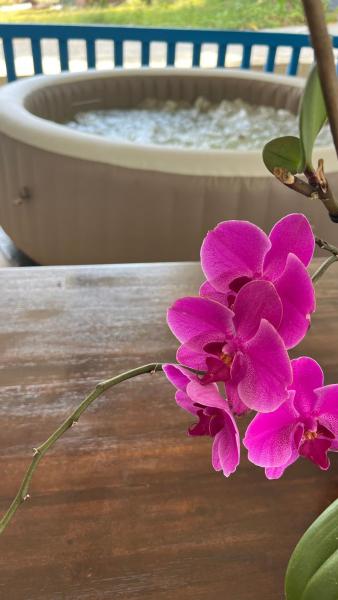 Blue Home2 T3 Meublé à Matoury Pour 1 à 6 Voyageurs. - Guyane française