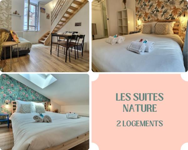 Les Suites Nature - 2 Logements - Hyper Centre - Albi