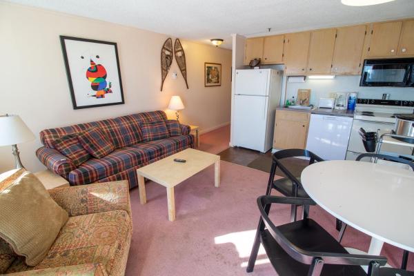 Ml315 Budget Friendly Next To Slopes No Frills Affordable - 西維吉尼亞