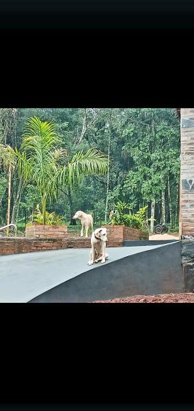 La Escondida - Jardín America