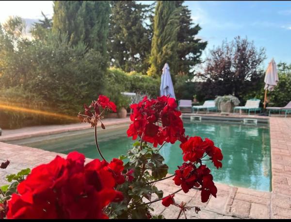 Mas L Epicure- Charming Provence B&b, Apartment, Pool & Vines - Gigondas