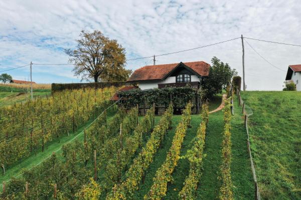 Hiška Brajda - Rogaška Slatina