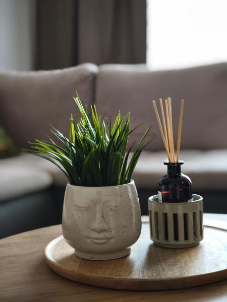 Mocha Apartment - Lithuania