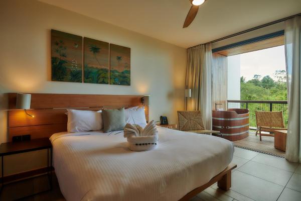 Papangue Hôtel & Spa - 留尼旺