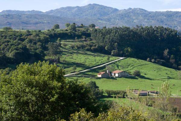 Primorías Camijanes - San Vicente de la Barquera