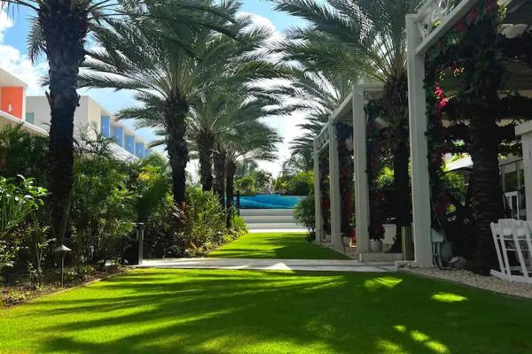The Grove - Cayman Islands