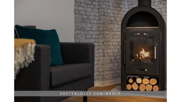 Apartment Leinetal Mit Kamin, Seenähe, Terrasse - Bad Gandersheim