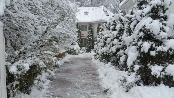 "Forest Retreat Luxury Villas" - Azuga