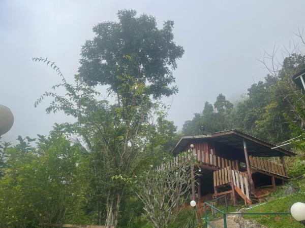 Forest Guesthouse - Mae Hong Son