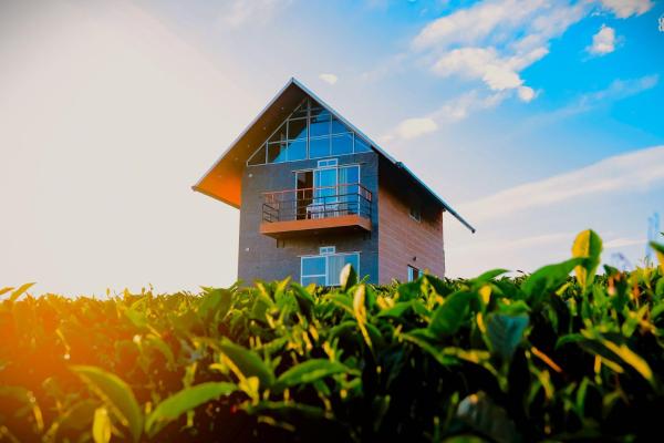 Cloud Canopy - Tea Garden Family Pool Cottage In Vagamon -