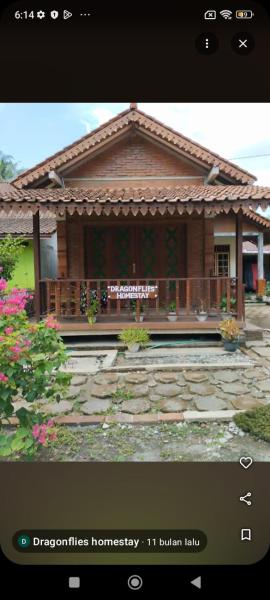 Dragonflies Homestay - Borobudur
