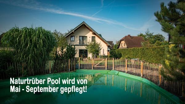 Ferienhaus Mountfrosch Mit Sauna Und Naturpool - Eupen