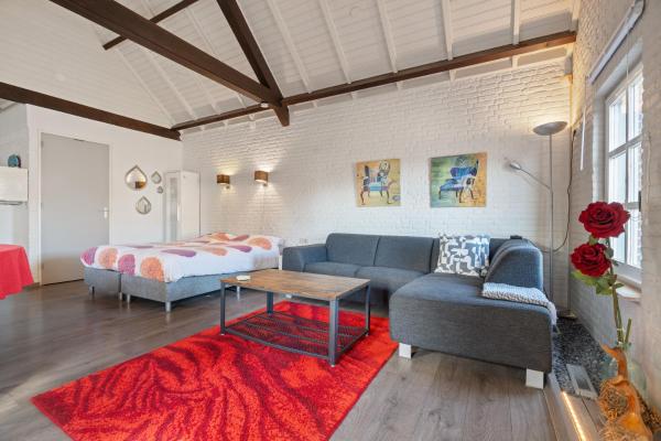 Room To Rent With Own Entrance, Living Room And Bathroom - Venray
