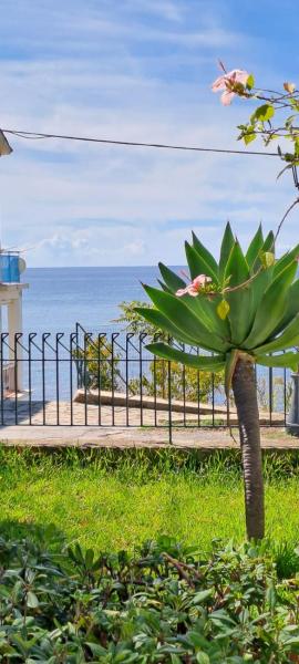Residence Evelin - Acciaroli