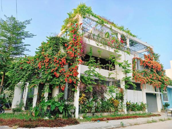 M&m Homestay - Hue