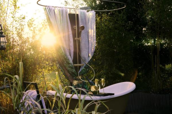 Yellow Egg - Warwickshire