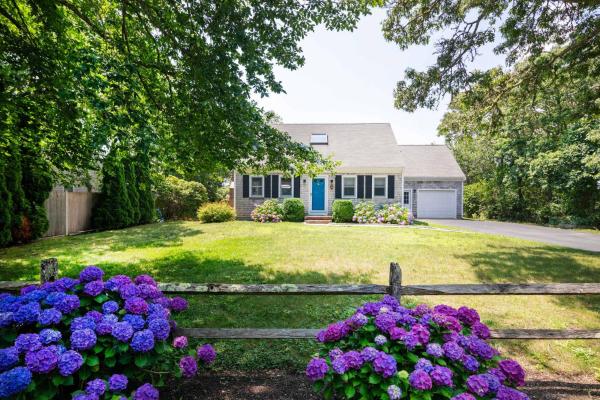 Great Location Outdoor Space Dog Friendly - Chatham, MA