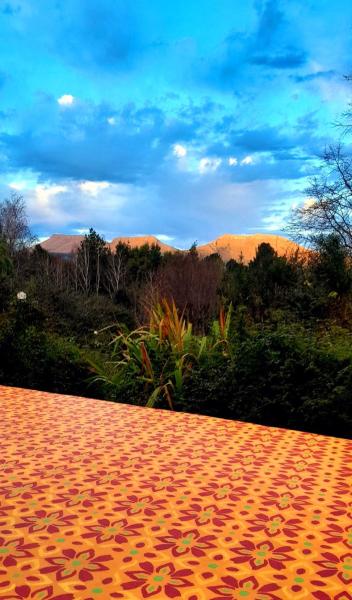 Touraco - Hogsback