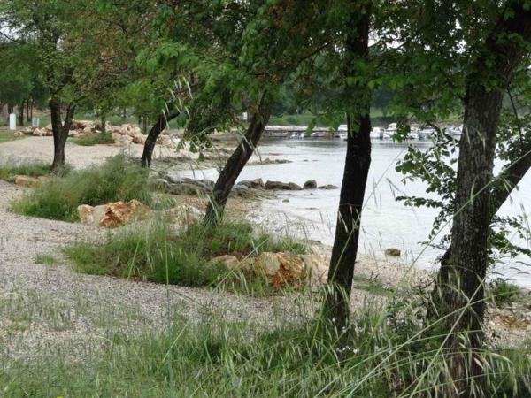 Apartments In Porec - Istrien 51166 - Poreč