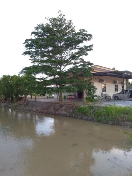 Arau Pulau Hilir Home - Kodiang