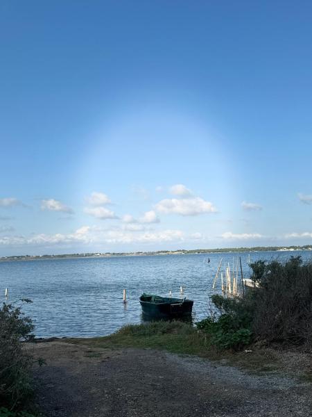 La Vue Des éTangs - Réserve Africaine de Sigean