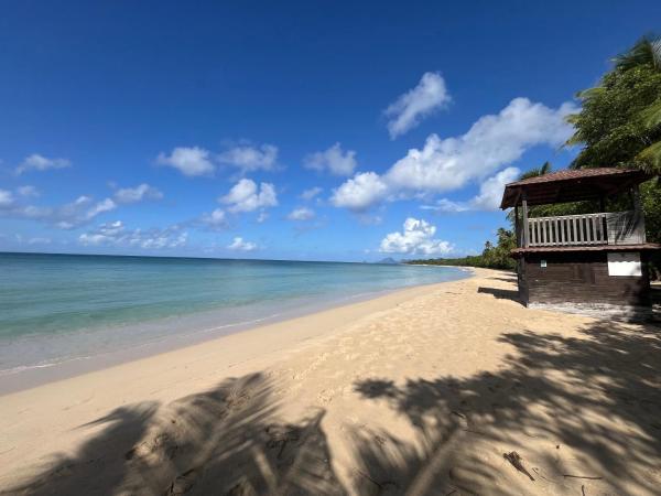 Secret Garden - Martinique