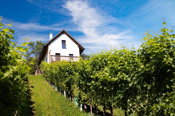 Kellerstöckel Steinbach - Steiermark