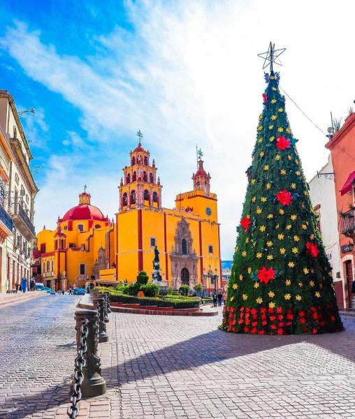 La Tía Rocío - Guanajuato