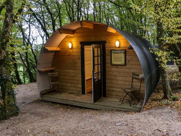 Ballybeg Pod 1 - Leinster