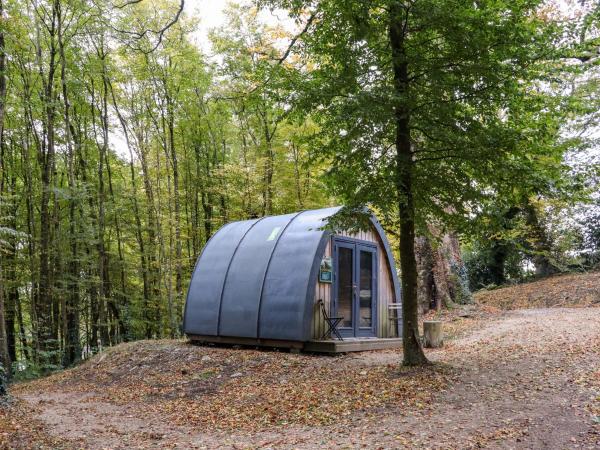 Ballybeg Pod 2 - Leinster