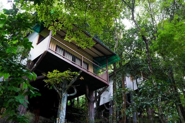 Space Rock Resort - Wayanad