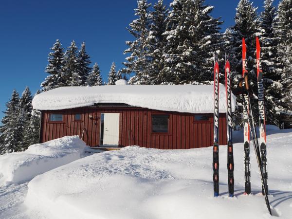 Cabin With Great View Close To Town And Ski Area - Norway