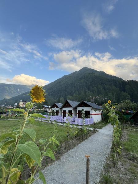 Himtrek Stay Kasol - Mandi