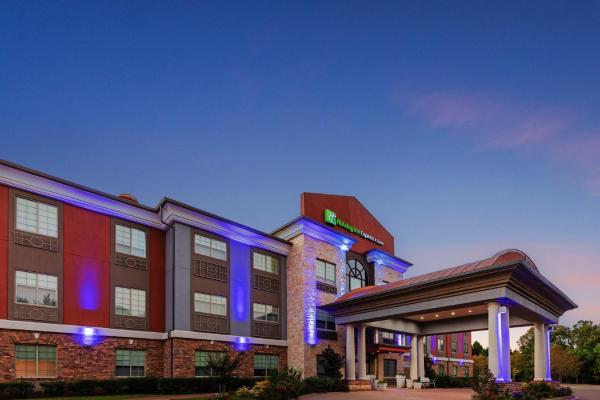 Holiday Inn Express Hotel & Suites Henderson - Traffic Star By Ihg - Henderson, TX