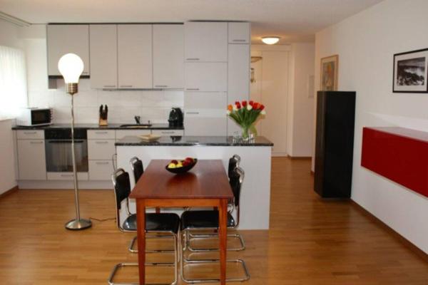 Executive 1bd Flat In City Center - Hösch 3 - Zürich