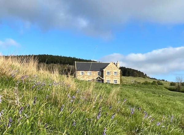 Foxhall Farm - Thirsk