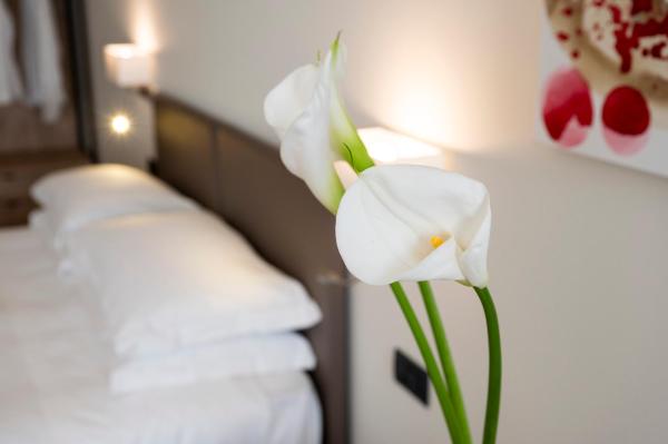 廣場酒店 - 帕維亞