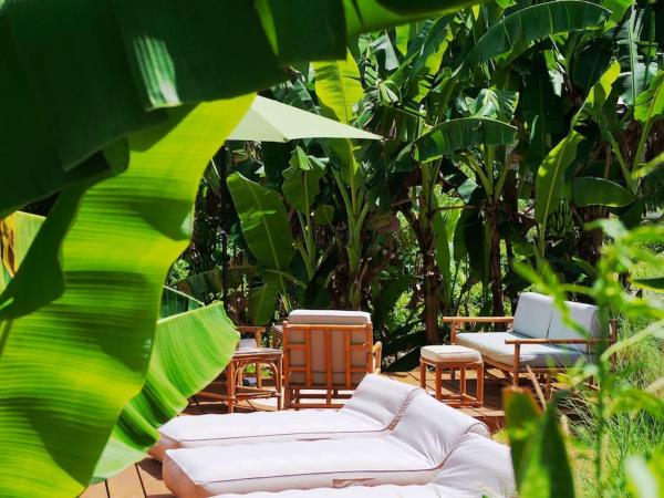 Little Diamond, Wooden Jungle House. Bathsheba. - Barbados