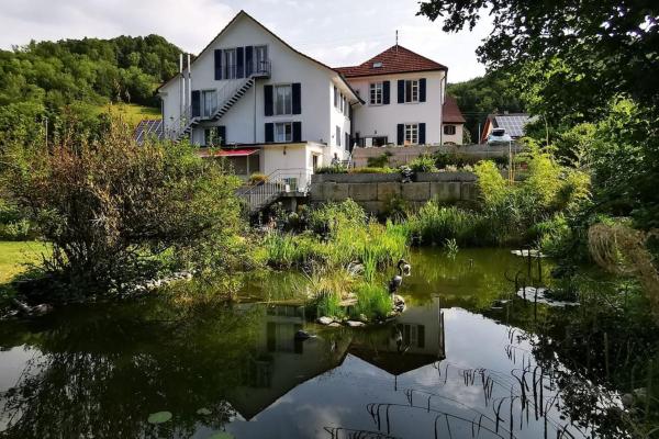 Exklusive Wohnung, Nur 30 Minuten Nach Zürich - Hohentengen am Hochrhein