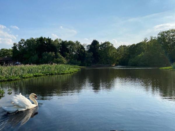 Lake View Lincoln - Lincoln