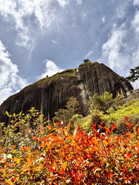 Hospedaje Villa Samara --- Cerca De La Piedra -- Guatapé - Guatapé