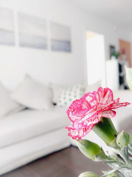 Alojamiento Amelie Con Wi-fi Gratis - El Palmar