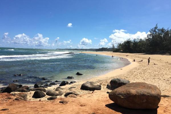 Lucy Fan Ohana - Maui, HI