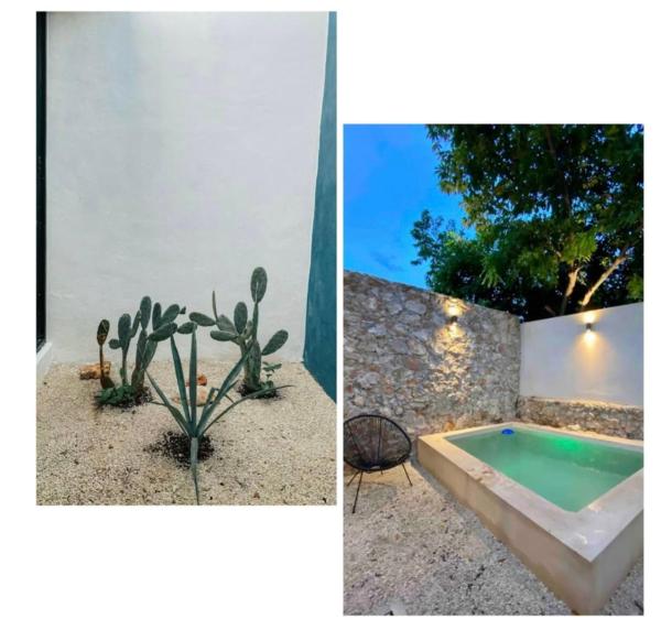 Modern Casa With Pool 7 Mins From Centro 5min La Plancha Park - Yucatán