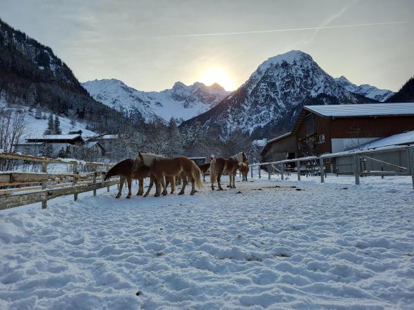 Top Appartements - Bludenz